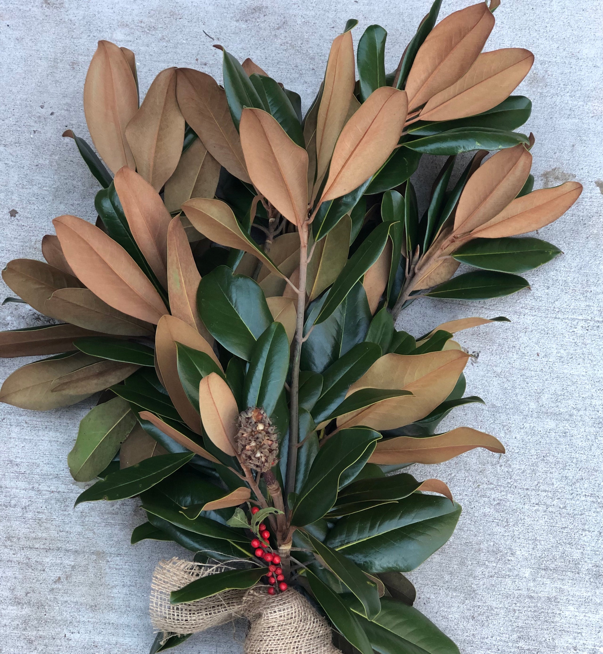 Fresh Magnolia Branches - 5 stems | Creamery Cottage, LLC